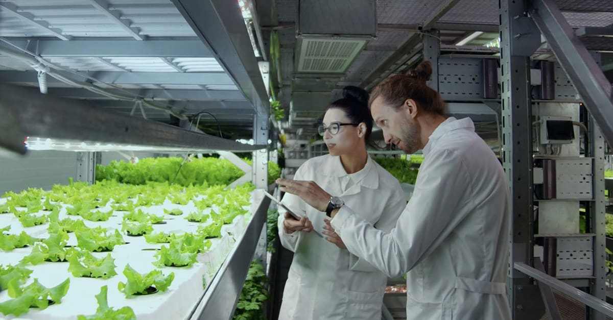 How high-rise farms could feed the world | Lombard Odier