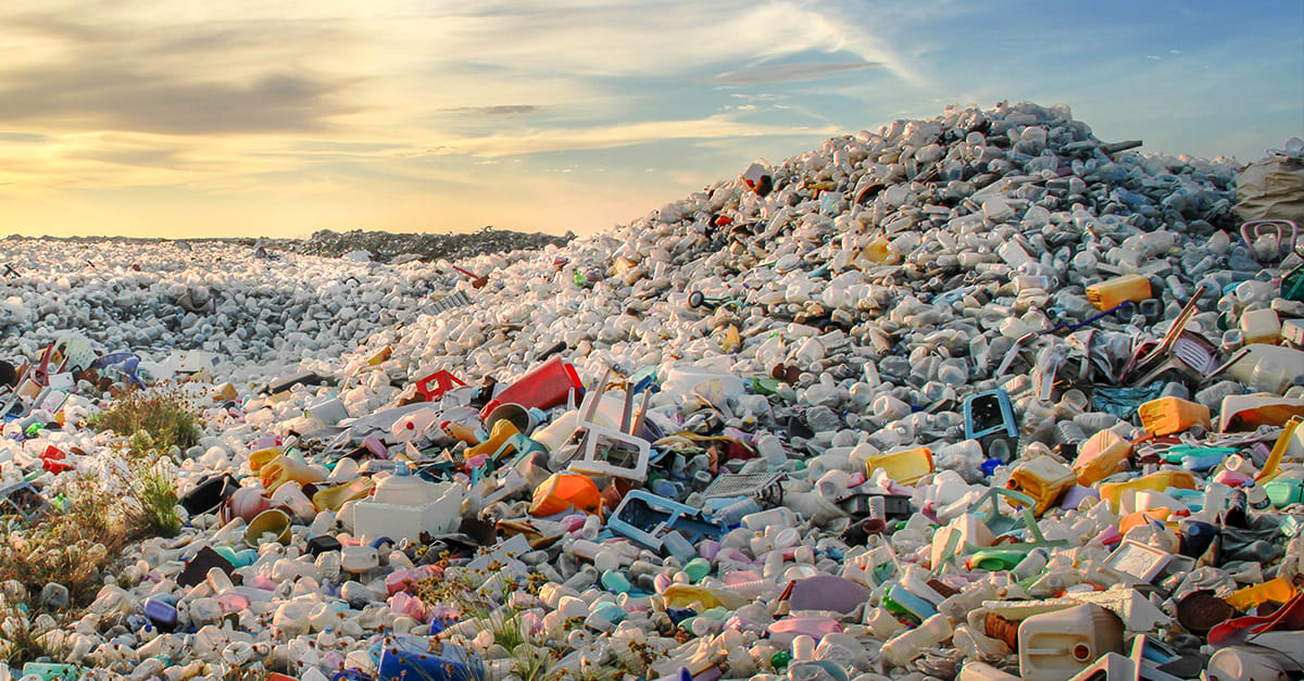 BB-Plastic_LOgreen1.jpg