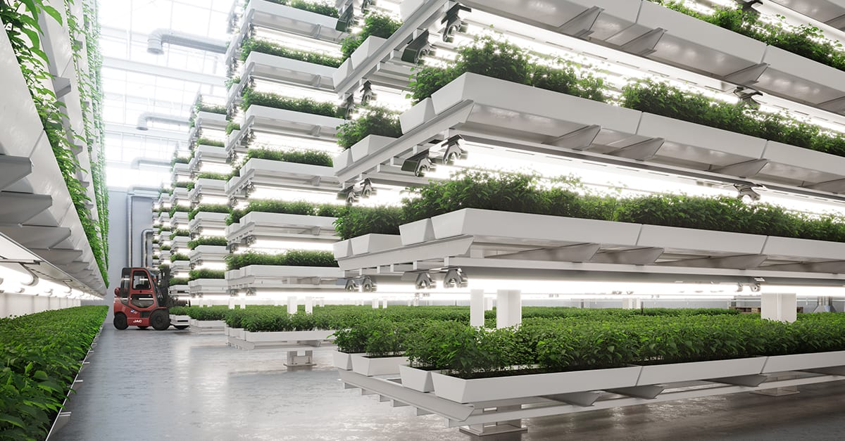 Technology and sustainability | CIO Viewpoint | Lombard Odier