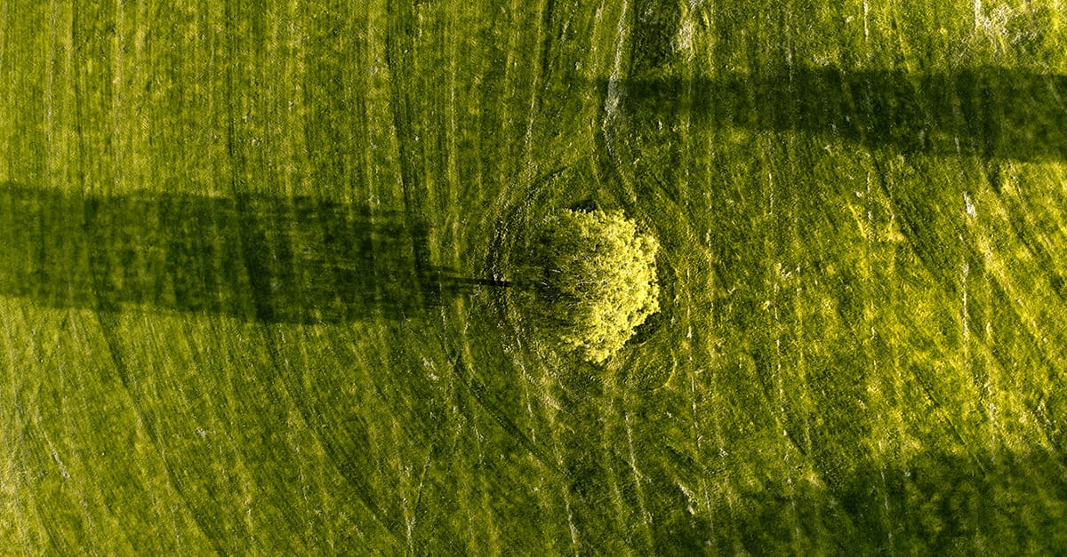 EU sets recovery sights beyond climate change | Lombard Odier