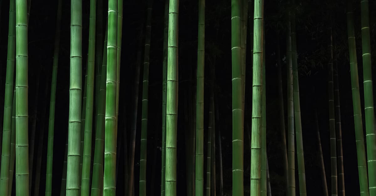 The low-carbon materials that could slash construction emissions ...