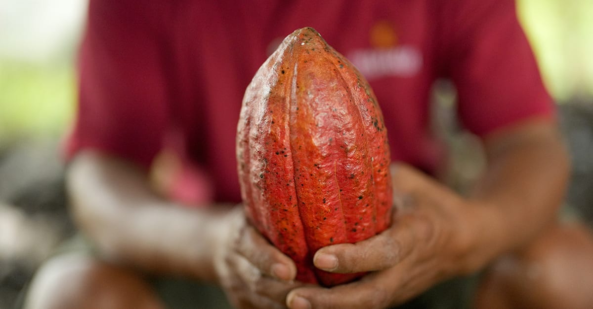 Building a sustainable chocolate supply chain | Lombard Odier
