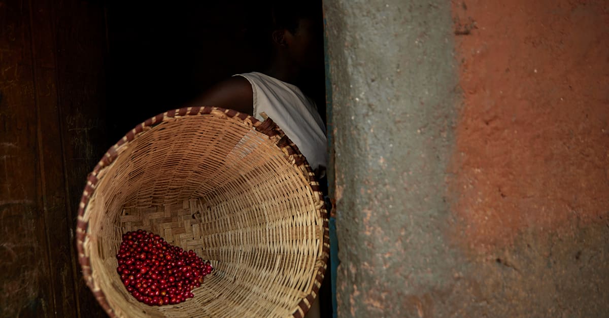 La recette de Nespresso pour un café durable | Lombard Odier