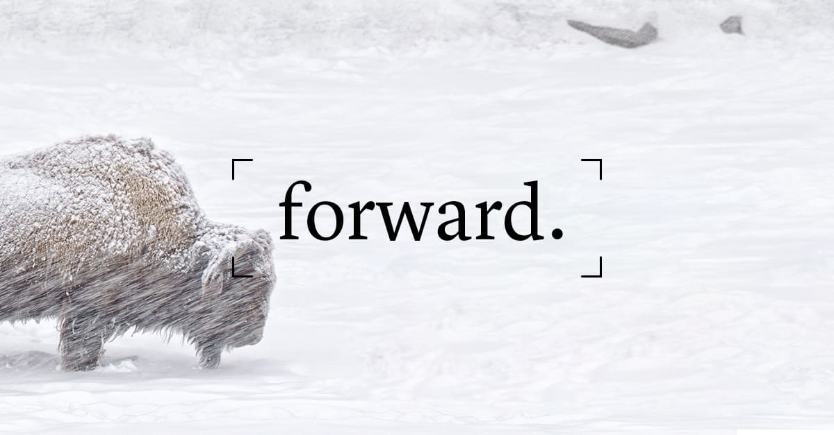 Forward: safe passage through the storm | Lombard Odier