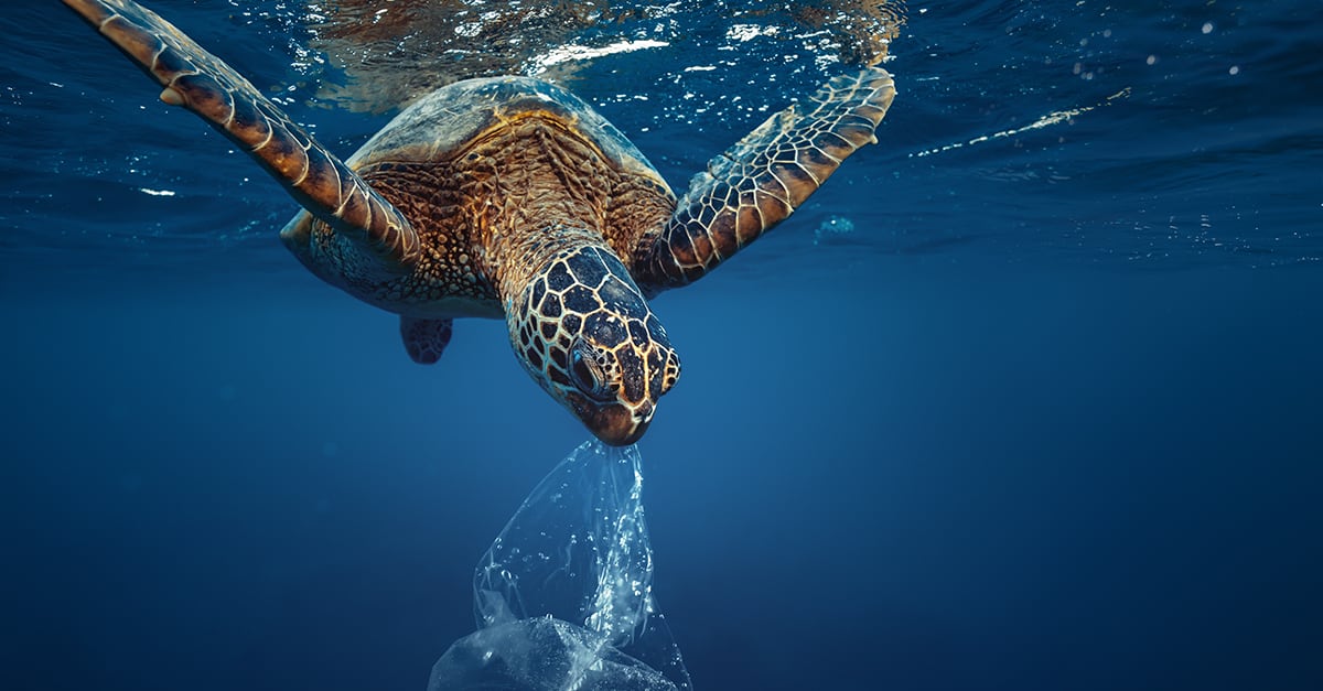 10 ways to rethink plastic through technology | Lombard Odier