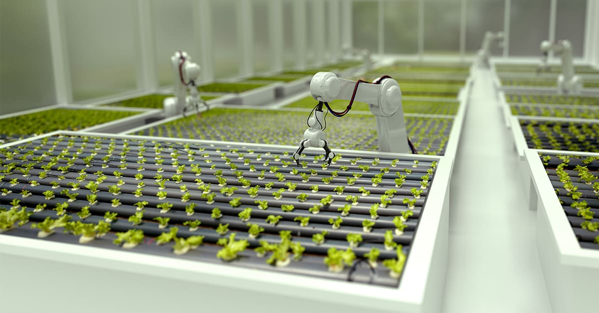 How Japan is using digital farming | Lombard Odier