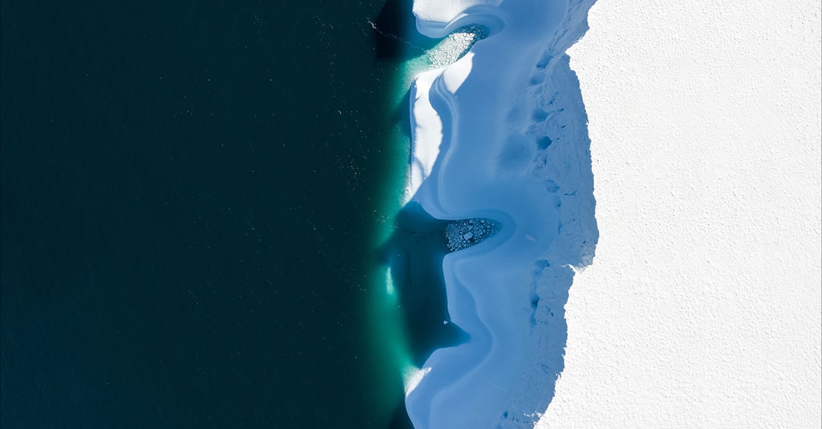 A remote Davos focuses on building back better | Lombard Odier