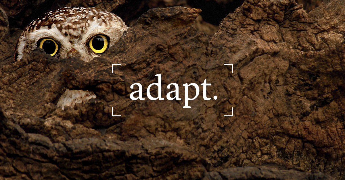 RE2020_LinkedIn-Facebook-ADAPT-EVOLVE.gif