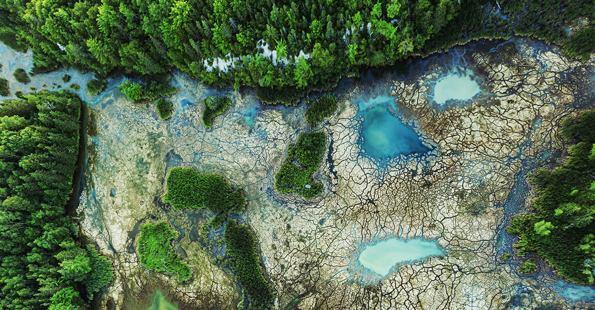 Rethink-Sustainability-ClimateEmergency_LinkedIn-Facebook.jpg