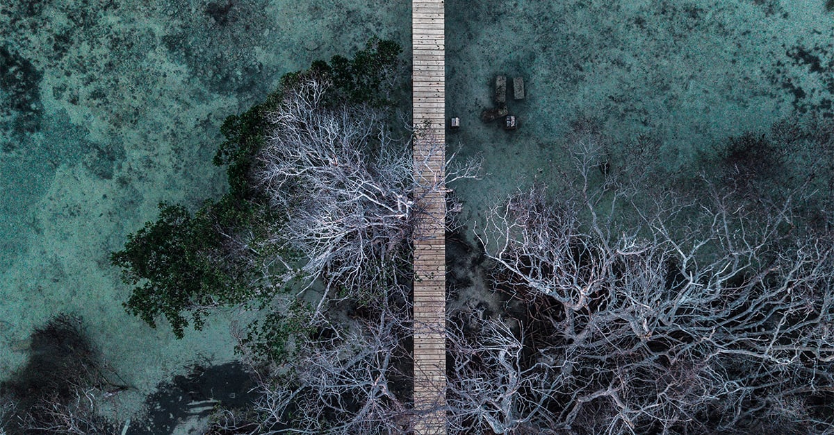 Climate changes the agenda at IMF meeting | Lombard Odier