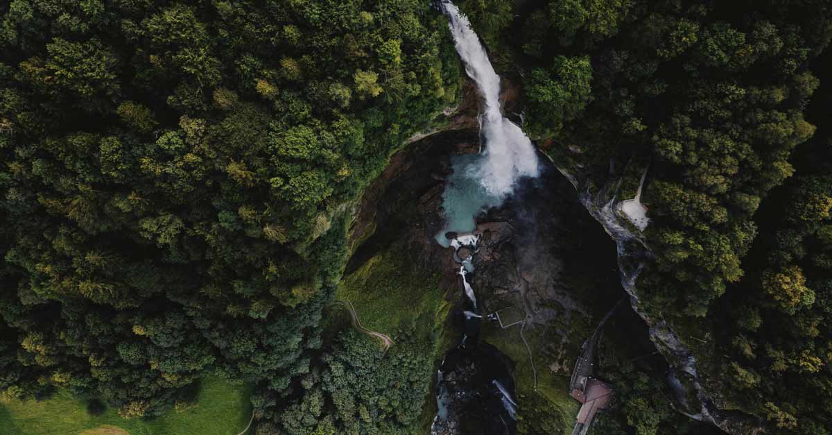 Nature investing | Lombard Odier Asset Management