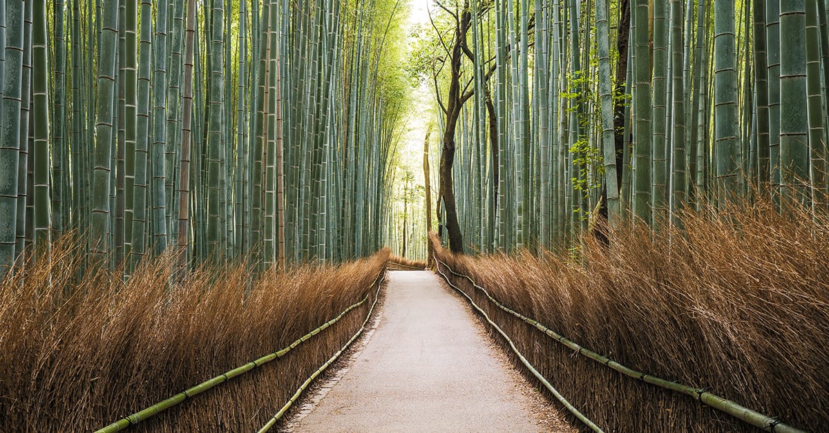 Japan’s net-zero strategy | Lombard Odier Asia