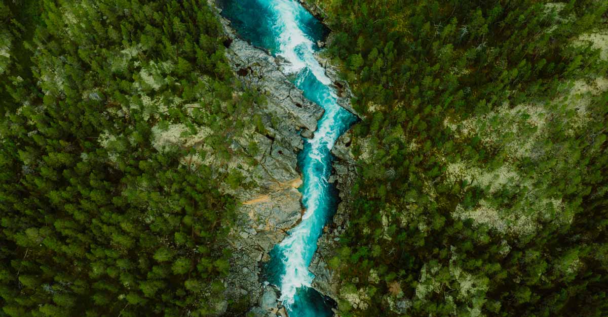 Widen the net: the case for non-sponsored direct lending exposure ...