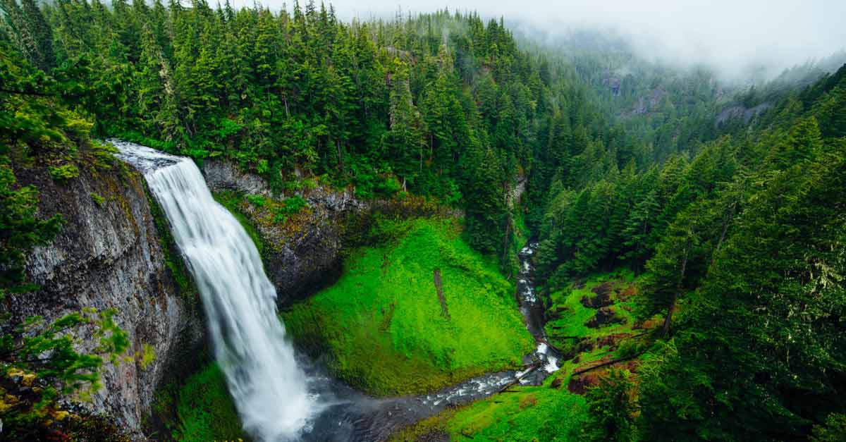 The TNFD: bringing nature onto the balance sheet | Lombard Odier