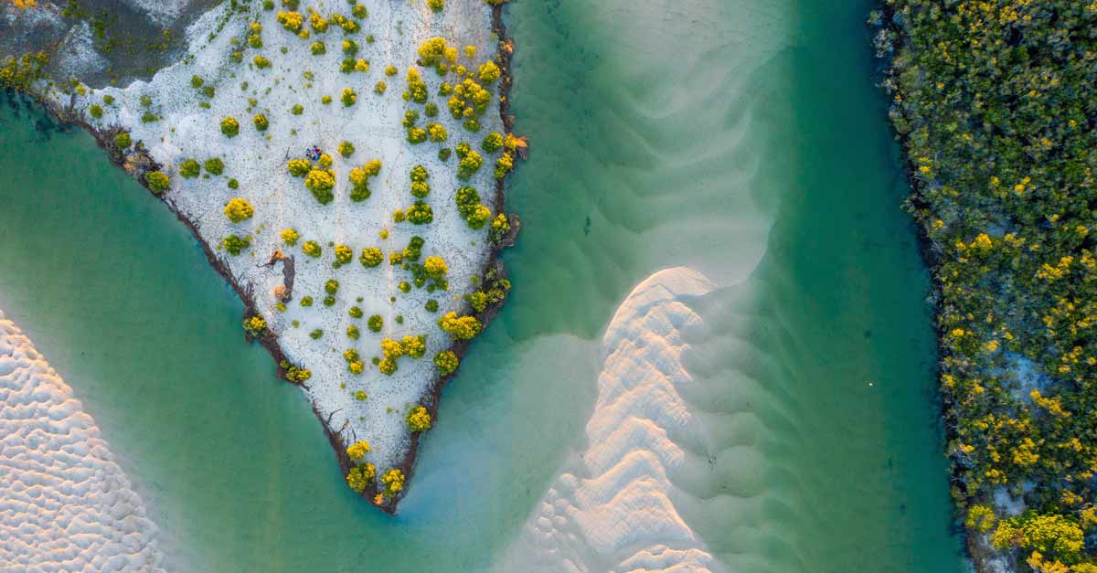 Investing in the currency of decarbonisation | Lombard Odier