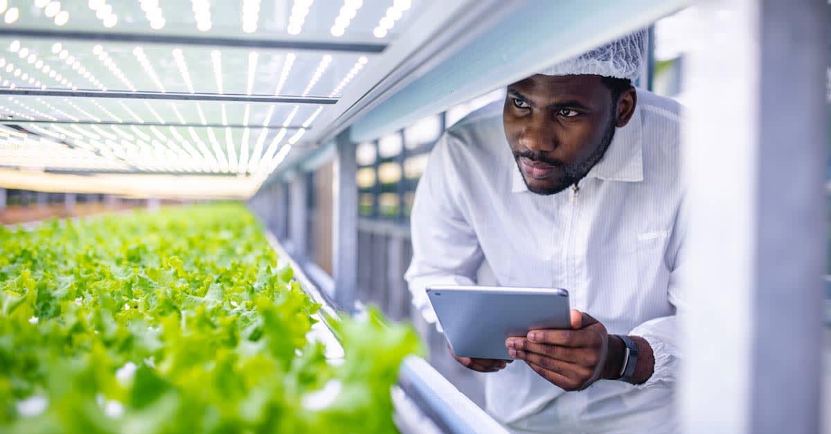 Investing in the future of food | Lombard Odier