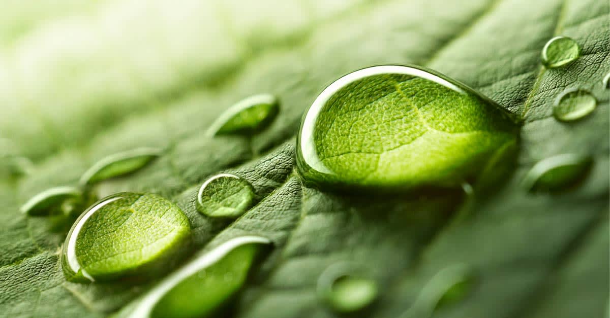 Clean water solutions for a thirsty world | Lombard Odier