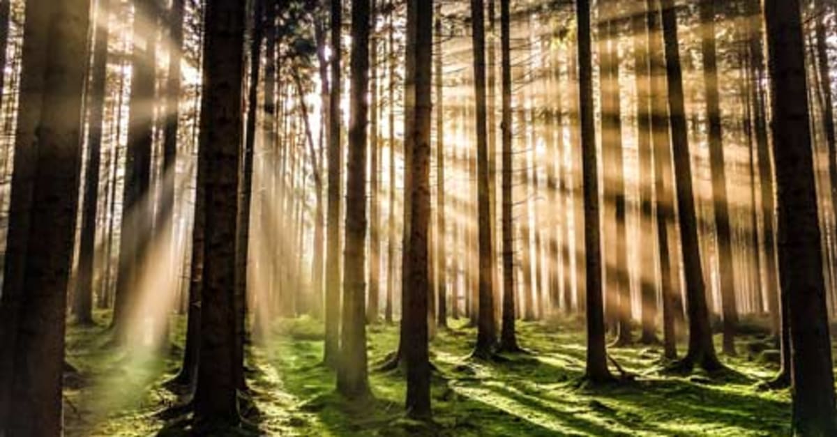 Webinar | La série « Green Room » | Lombard Odier