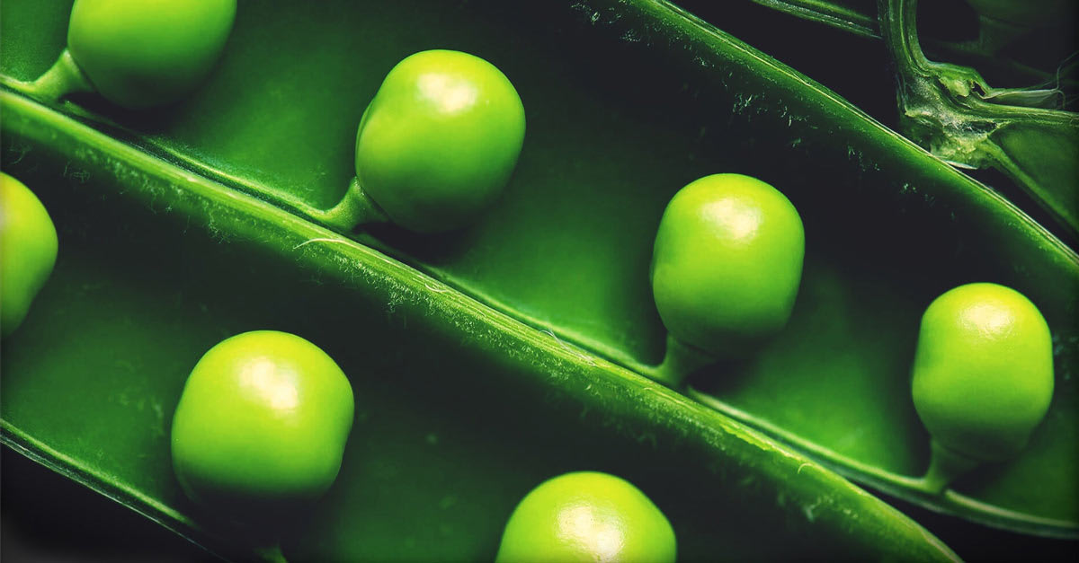 Green winners in the global economy: research by Lombard Odier and ...