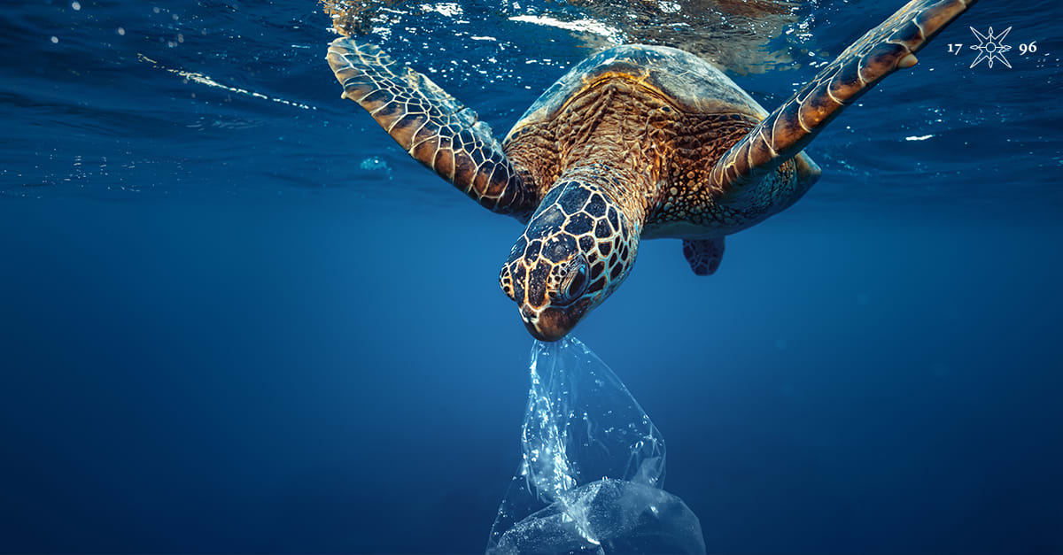 Turning the tide on plastics | Lombard Odier