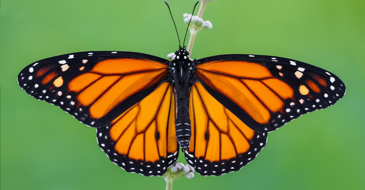 Circular economy equities | Lombard Odier Asset Management