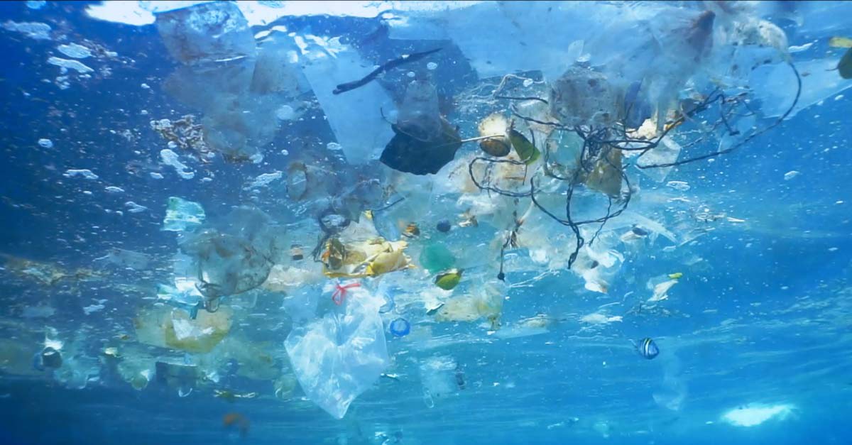 Investing in zero-waste | Lombard Odier