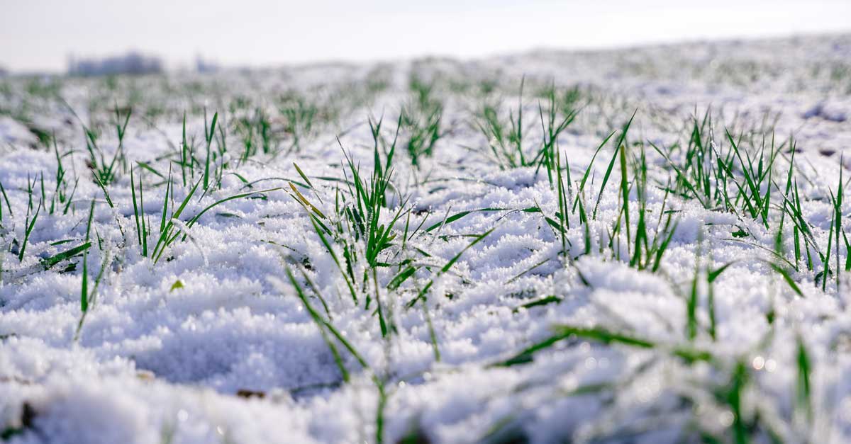 Equity extreme dynamics | Lombard Odier Asset Management