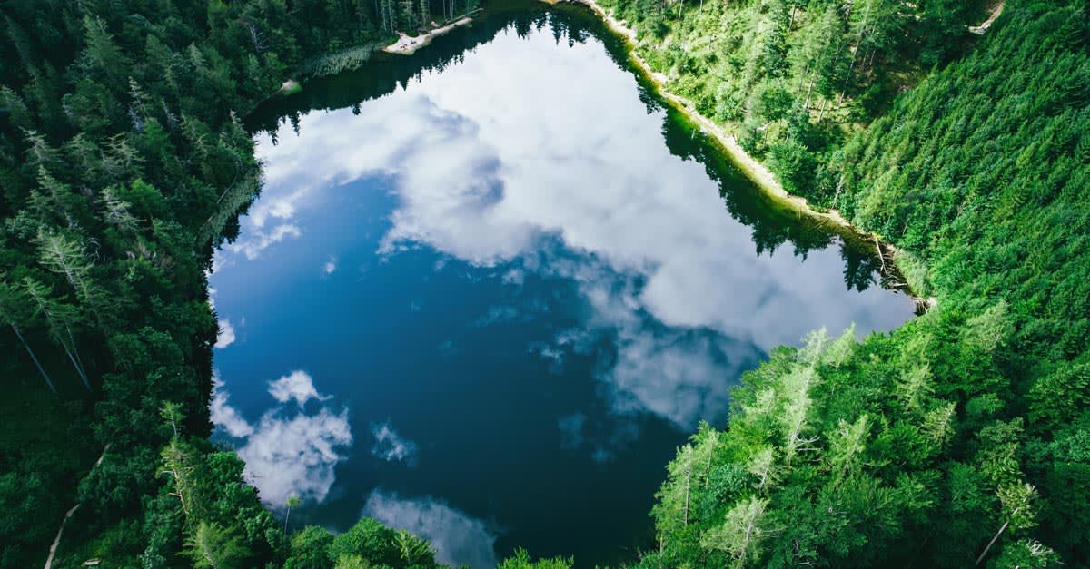 How net zero adds value | Lombard Odier Asset Management