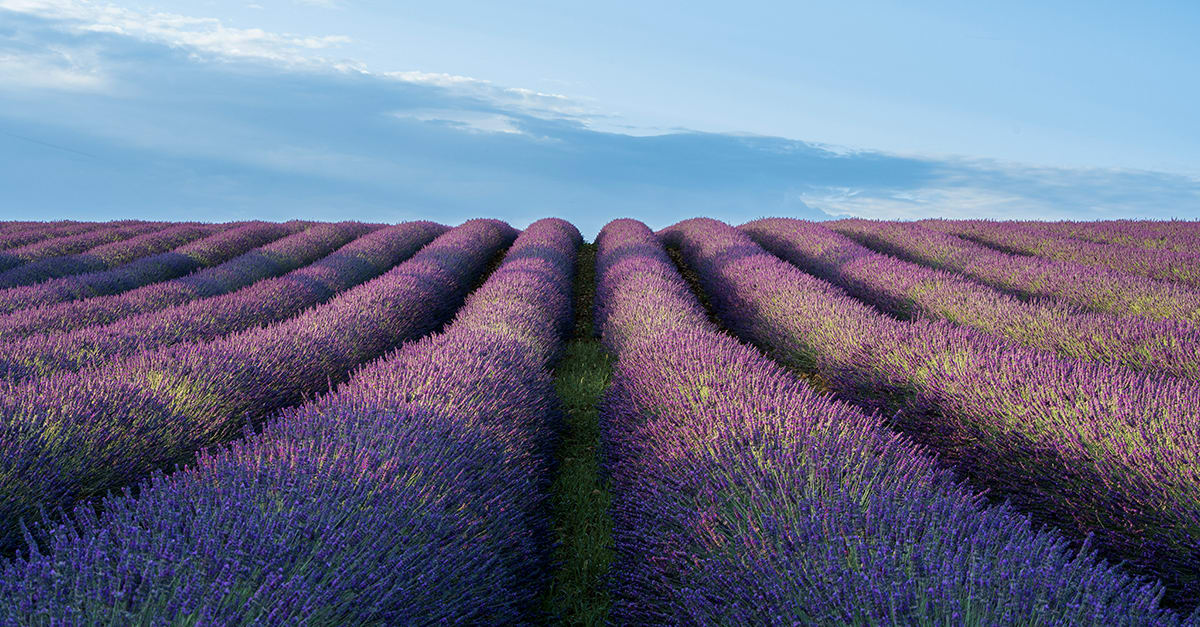 Markets short term horizon | Lombard Odier Asset Management