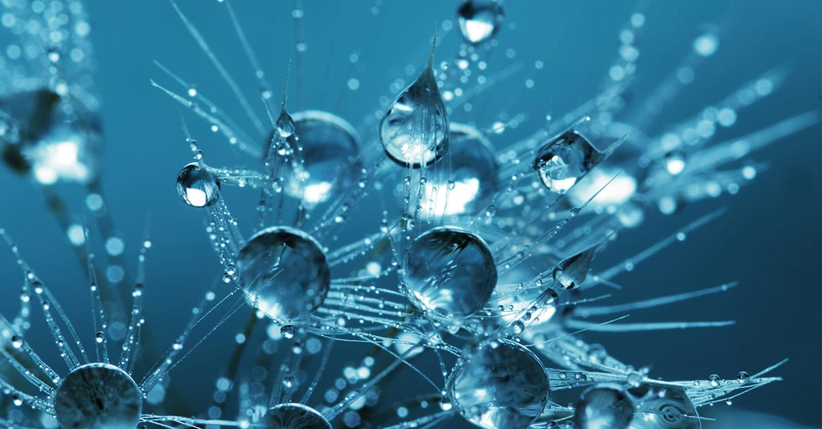 Navigating a multi-polar world in equities| Lombard Odier