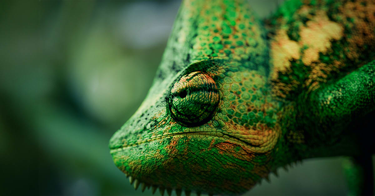 Realigning finance around nature | Lombard Odier