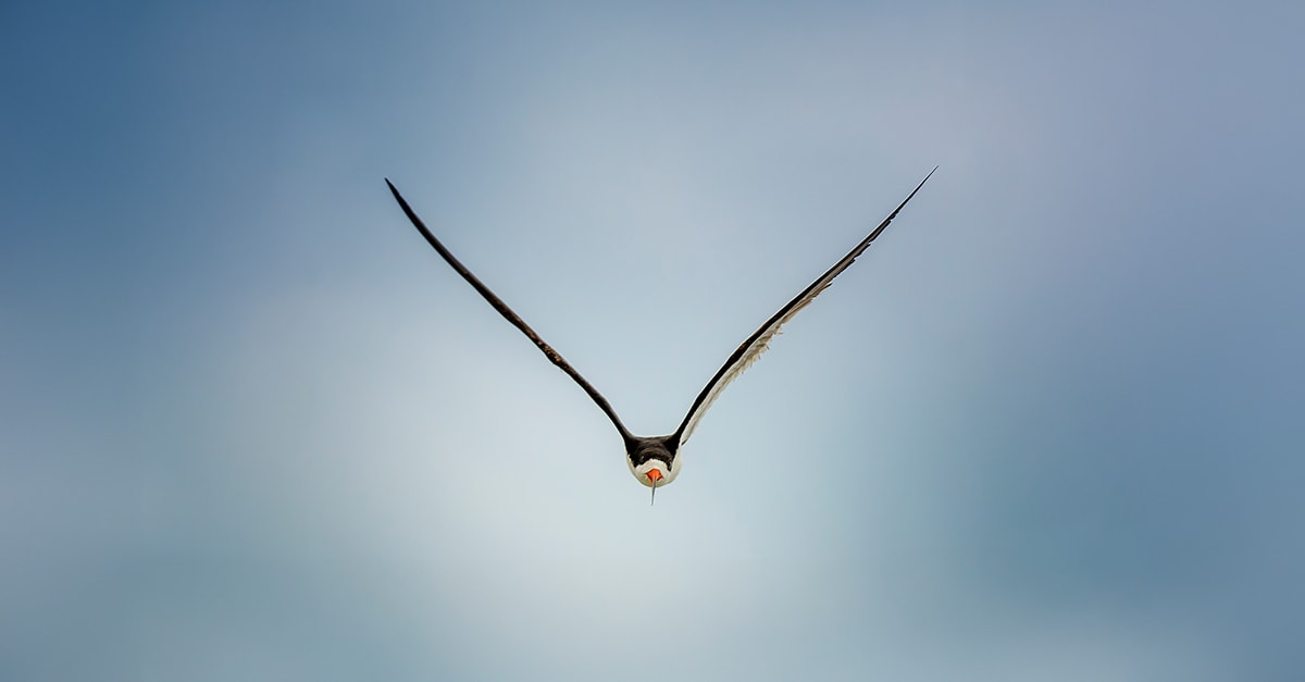 Rester résilient sur les marchés en forme de V | Lombard Odier Asset ...