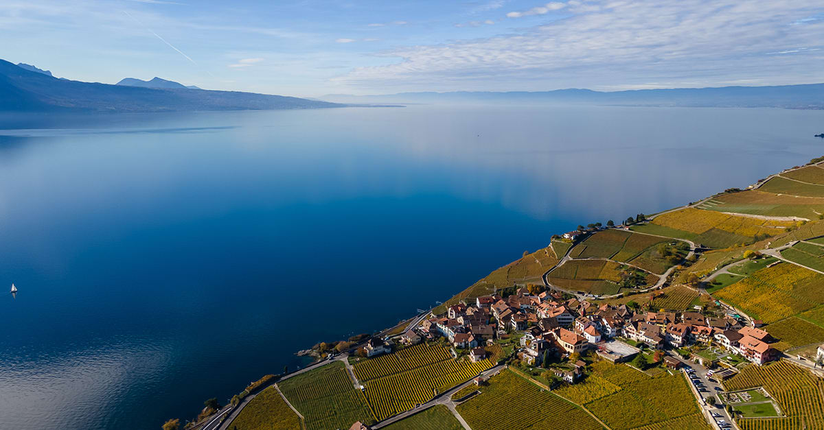 Study on the Transfer of Family Businesses in Switzerland | Lombard Odier