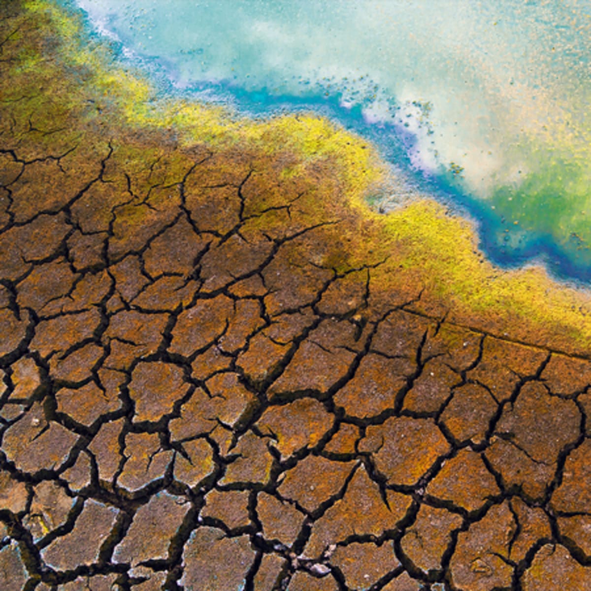 Rethink Responsible Capital | Impact Investing | Lombard Odier