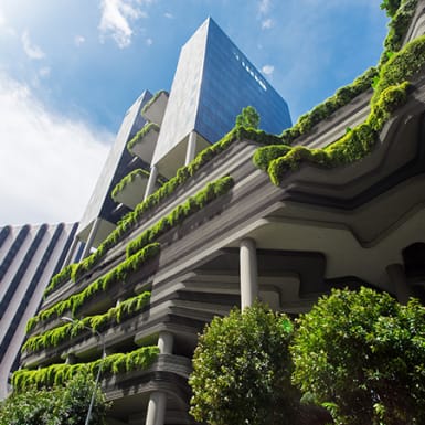 Singapore heat mitigation initiatives | Lombard Odier Asia